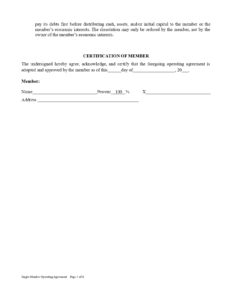 Single Member LLC Template - MbcVirtual