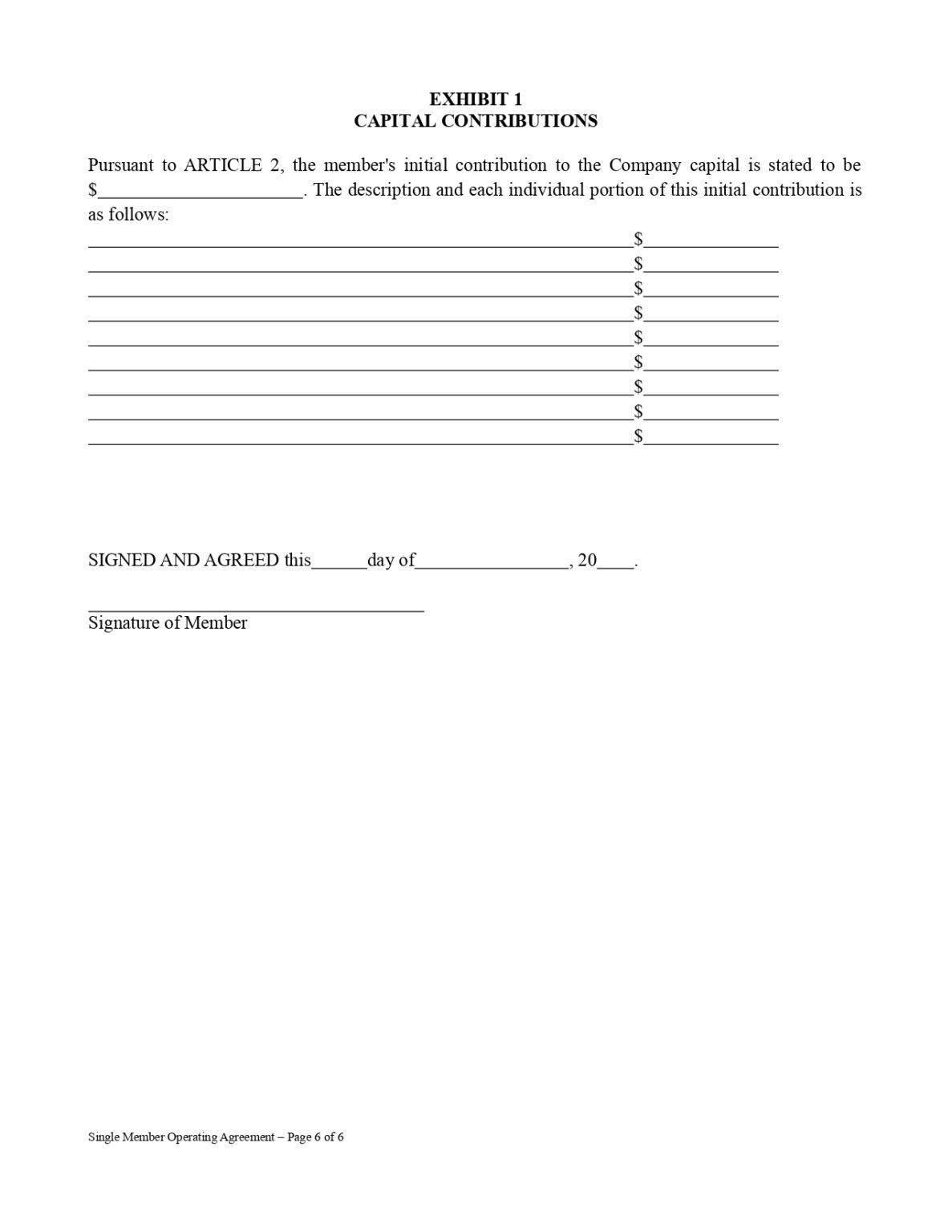 Single Member LLC Template - MbcVirtual