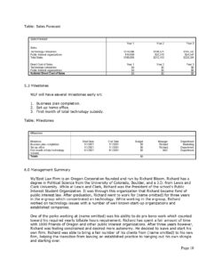 Pro Law Firm Business Plan Template - MbcVirtual