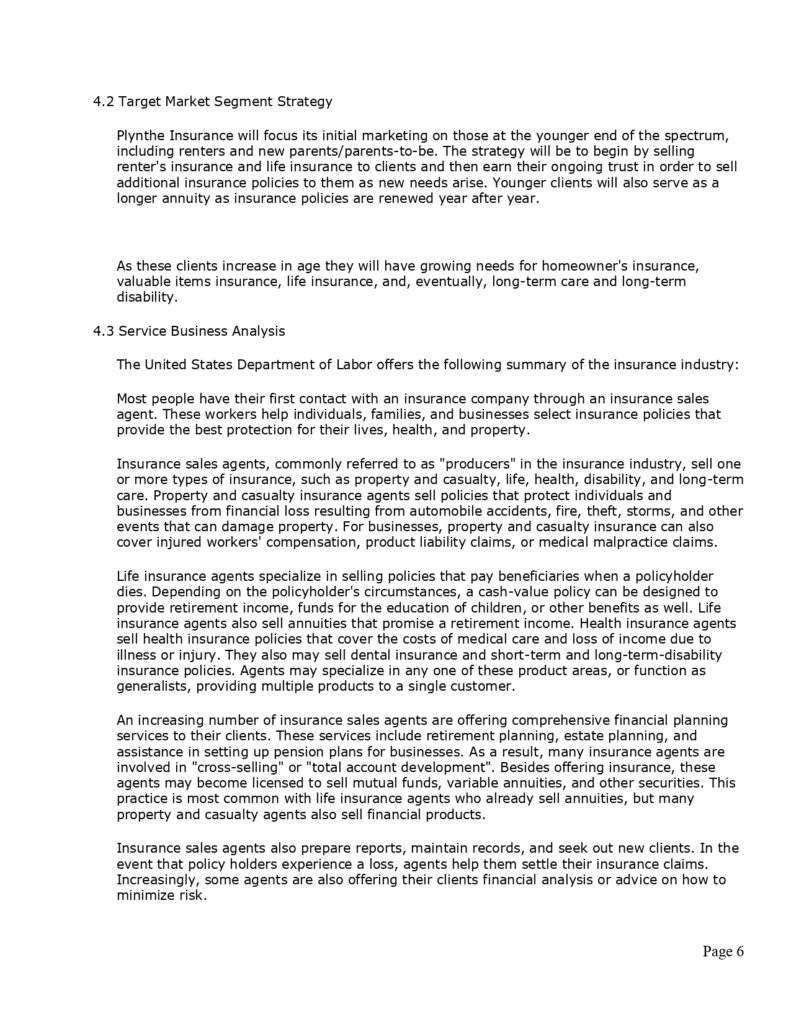 Pro Personal Insurance Agent Business Plan Template - MbcVirtual