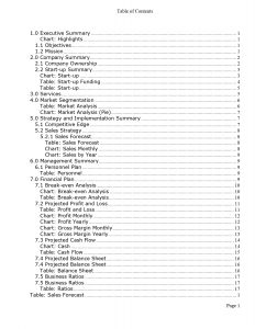 Pro Computer Engineering Business Plan Template - MbcVirtual