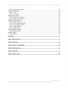 Pro Day Spa Business Plan Template - MbcVirtual