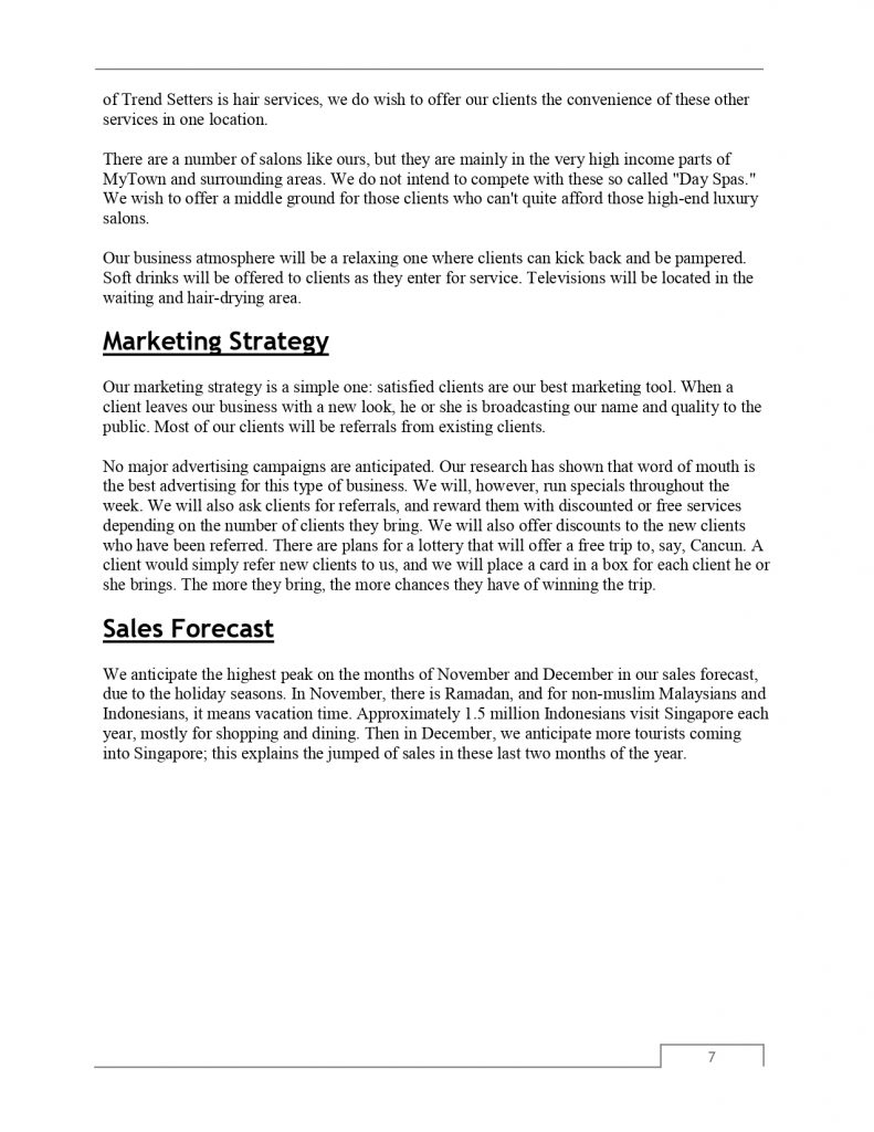 Pro Hair and Beauty Salon Business Plan Template - MbcVirtual